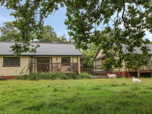 Woodpecker, Beaworthy | Beaworthy, EX21 5DF | Hotels & BB's